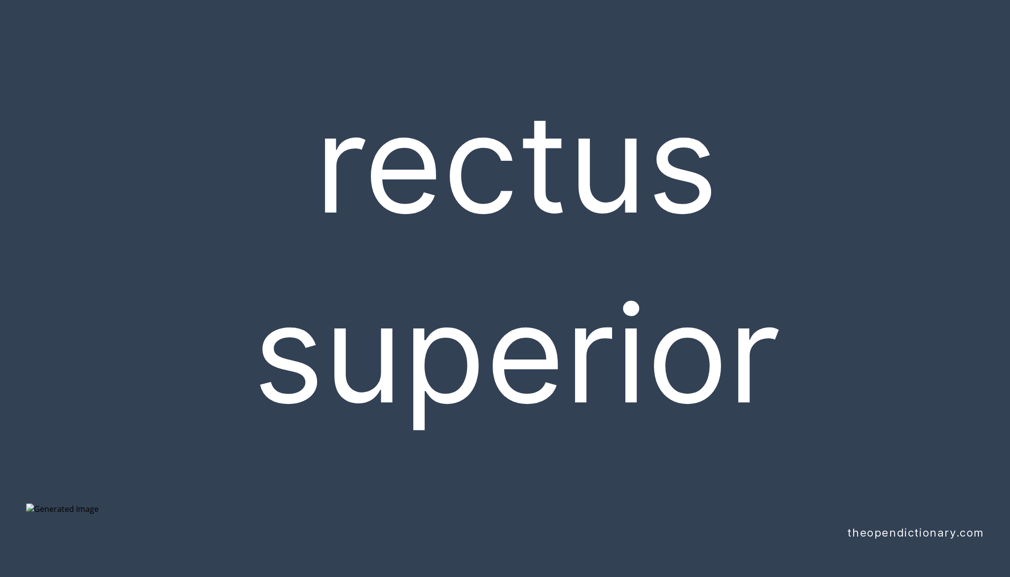 Rectus Superior Meaning Of Rectus Superior Definition Of Rectus rectus-superior-meaning-of-rectus-superior-definition-of-rectus